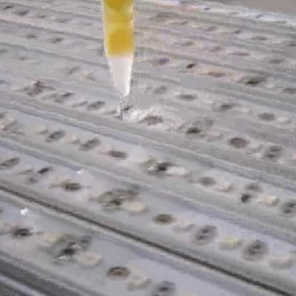Quality Glue Potting Auto Dispenser Machine 1:1 Adhesive Dispensing Machine 50HZ for sale
