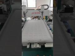 Panel Light Screw Locking Machine Z Axis Automatic Screwing Machine 1200*600mm Working Range