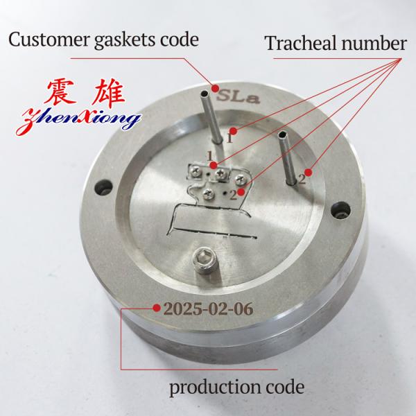 Quality Customization Plastic Extrusion Pipe Mould Ejector Pin Door Gasket Mould for sale