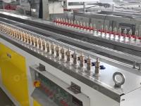 China WPC Composite Wood WPC Profile Extrusion Line WPC Profile Machine for sale