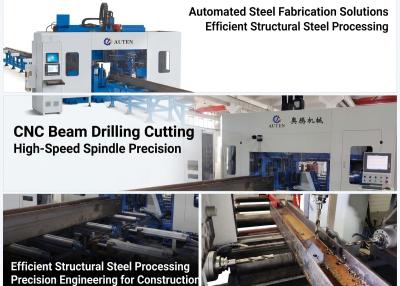 China Bridge Fabrication Use High Speed CNC H Beam Drilling Sawing Machine With Shearing Function for sale