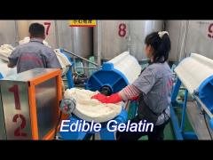80 Bloom-120 Bloom gelatina di manzo Halal Granula di gelatina di manzo commestibile