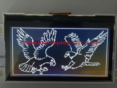 China Factory Customized Size Monochrome Dfstn 19264 Dots White Pixel Black Background COB Cog LCD Display for sale