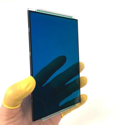 China Custom Size Segment Tn Negative Positive Optional LCD Display Screen LCD Panel for sale