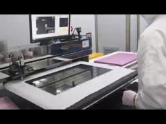 LCD Manufacturer Graphic LCD Display FSTN 240X128 Blacklight COB LCD Module Industrial