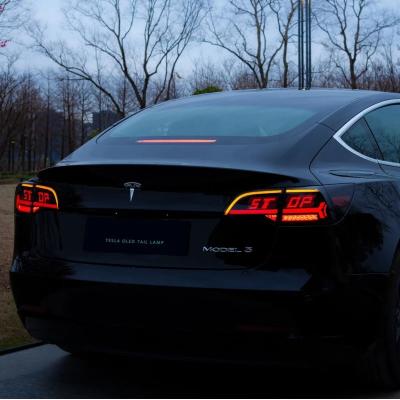 Cina Tesla Modello 3/Y Guida frenata Dynamic Model Y Flow Light Scanning Taillights M3/Y Display di testo modificato in vendita