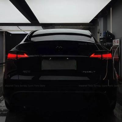 China 2019- Model 3 Model Y Achterlicht Montage Modificatie Phantom Led Achterlicht Voor Tesla Te koop