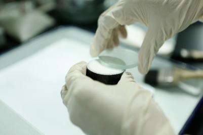 Plastic Modifiers - Distilled Monoglycerides - DMG95/GMS99/E471 - White Powder 1