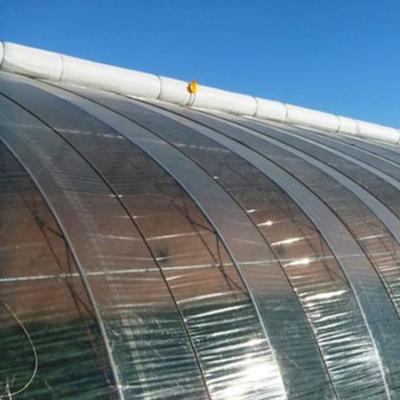 Cina Modificatori di plastica - mono e digliceridi - GMS40/E471 - polvere/perla bianche in vendita