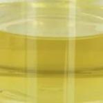 Cina Liquido CAS 19321-40-5 dell'oleato PETO di Pentaerythrityl dello stabilizzatore di modificatore del lubrificante dell'olio in vendita