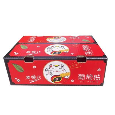 Cina Stampa a getto d'inchiostro a scatola ondulata OEM 50Hz Sistema di alimentazione continua di inchiostro in vendita