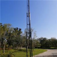 China Self Supporting CCTV Broadcast Electrical Transmission Tower for sale