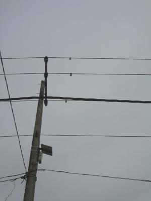 China Overhead Electric Line fault device for sale