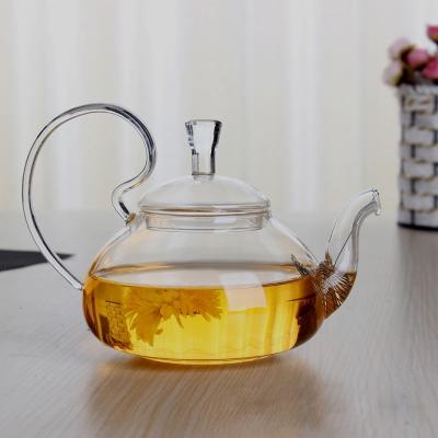 China 600ml glass squirrel pot high temperature resistant glass tea kettle for sale