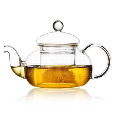 China 600ml glass flower tea pot high temperature resistant glass tea kettle for sale