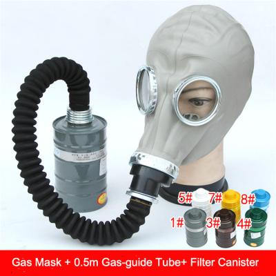 China Full Face Respirator Gas Mask With Double Filters for sale