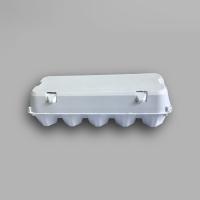 China Customized Molded Pulp Packaging Recyclable Food Packing Box Biodegradable for sale