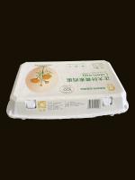 China Customized Molded Pulp Packaging Recyclable Food Packing Box Biodegradable for sale