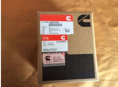 China Cummins 6BT Water Pump 2881804 for sale