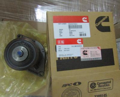 China Cummins ISDE water pump 3800984 for sale