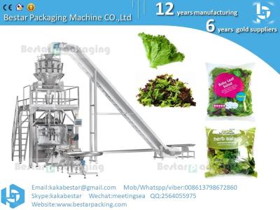 China Fresh Vegetable Leaf Salad Packing Machine 500 Bags per Hour Automatic for sale