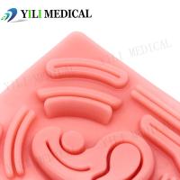 China Ultralarge Abdominal Cavity Silicone Simulation Pad 15x15x1.5cm Laparoscopic Suture Practice Training Model for sale