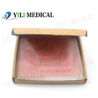 China Ultralarge Abdominal Cavity Silicone Simulation Pad 15x15x1.5cm Laparoscopic Suture Practice Training Model for sale