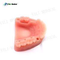 China Silicone Suture Practice Pad 3 Modules Dental Suturing Implants Training 17.5x12.2cm for sale