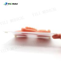 China Silicone Suture Practice Pad 3 Modules Dental Suturing Implants Training 17.5x12.2cm for sale