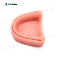 China Silicone Suture Practice Pad 3 Modules Dental Suturing Implants Training 17.5x12.2cm for sale
