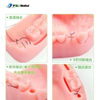 China Silicone Suture Practice Pad 3 Modules Dental Suturing Implants Training 17.5x12.2cm for sale