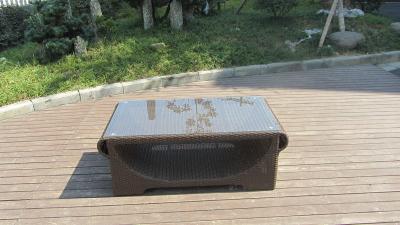 China ： rattan sofa set for sale