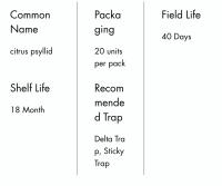 China Pheromone Lure for Diaphorina citri for sale