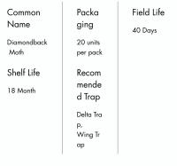 China Pheromone Lure for Plutella xylostella for sale
