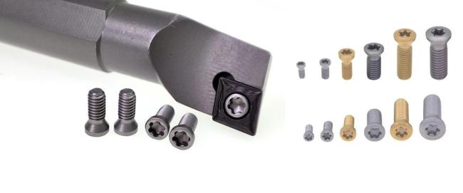 Cutting Tool Screw for Shim Screw Ball Head Screw Double Thread Screw Cheese Head Screw Insert and Indexable Mill Fasteners