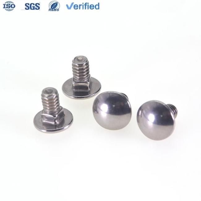 Customized Stainless Steel Head Mirror Polished Square Neck Carriage Bolts