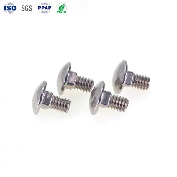 Quality Square Neck Decorative Screw Stainless Steel 20mm Mirror Screws Polished for sale