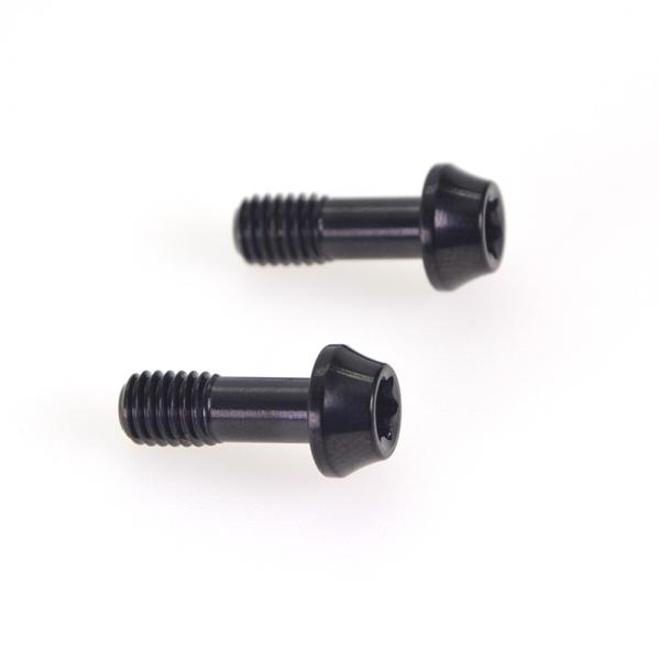 Quality Black PVD Decorative Screws Non Standard Head Stainless Steel Screws Treated for sale