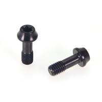 Quality Black PVD Decorative Screws Non Standard Head Stainless Steel Screws Treated for sale