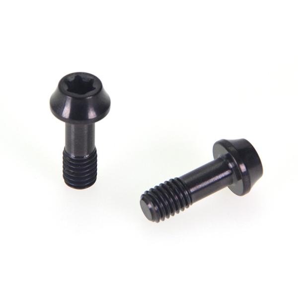 Quality Black PVD Decorative Screws Non Standard Head Stainless Steel Screws Treated Torx Slot for sale
