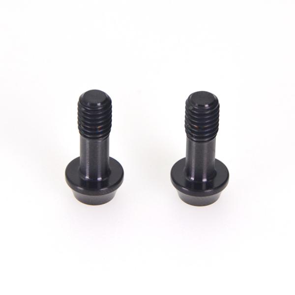 Quality Black PVD Decorative Screws Non Standard Head Stainless Steel Screws Treated for sale