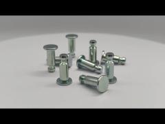 Electronic Screws