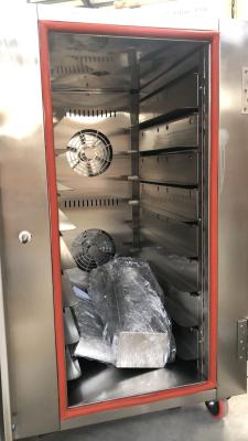 Cina Stainless Steel Commercial Baking Oven Convection Oven 8 Trays Electric/Gas Productivity LPG/Natural Gas in vendita