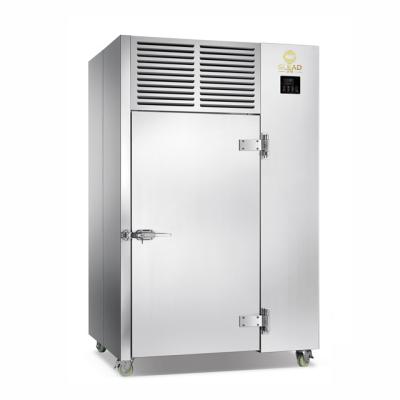 China 15 Trays Industrial Refrigeration Equipment with Air Cooling and 2700W Capacity Blast Chiller&Freezer Cabinets for sale