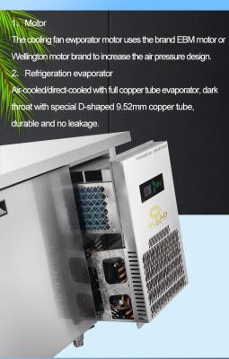 China Air Cooled Refrigeration Unit for Precise Temperature Control - Ss304 Double Glass Door Refrigerator for sale