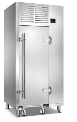 China Roll In Blast Freezer -40℃ Commercial Trolley Type Shock Freezer Stainless Steel Quick Freezing Machine For Bakery Seafood Meat for sale