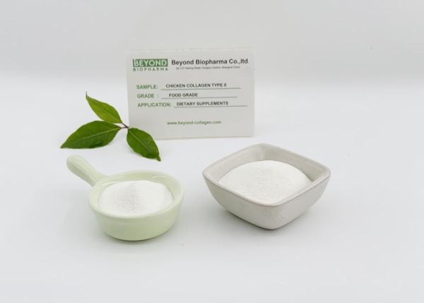 Type II Chicken Collagen Is The Essential Supplements for bone protection