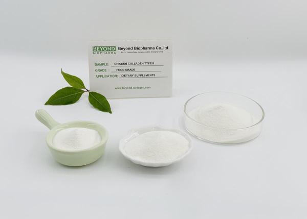 Type II Chicken Collagen Is The Essential Supplements for bone protection