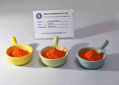 Cina Estratto della radice di curcuma del commestibile con purezza di 95% di Curcuminoid totale in vendita