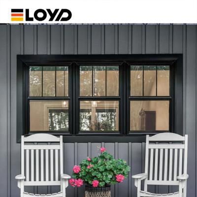 China Custom Double Single Hung Window with Low-E Glass for sale